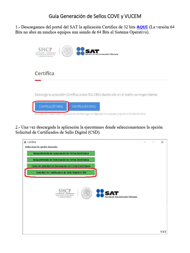 Guia Generacion de Sellos COVE y VUCEM (Septiembre) - Ok | PDF ...
