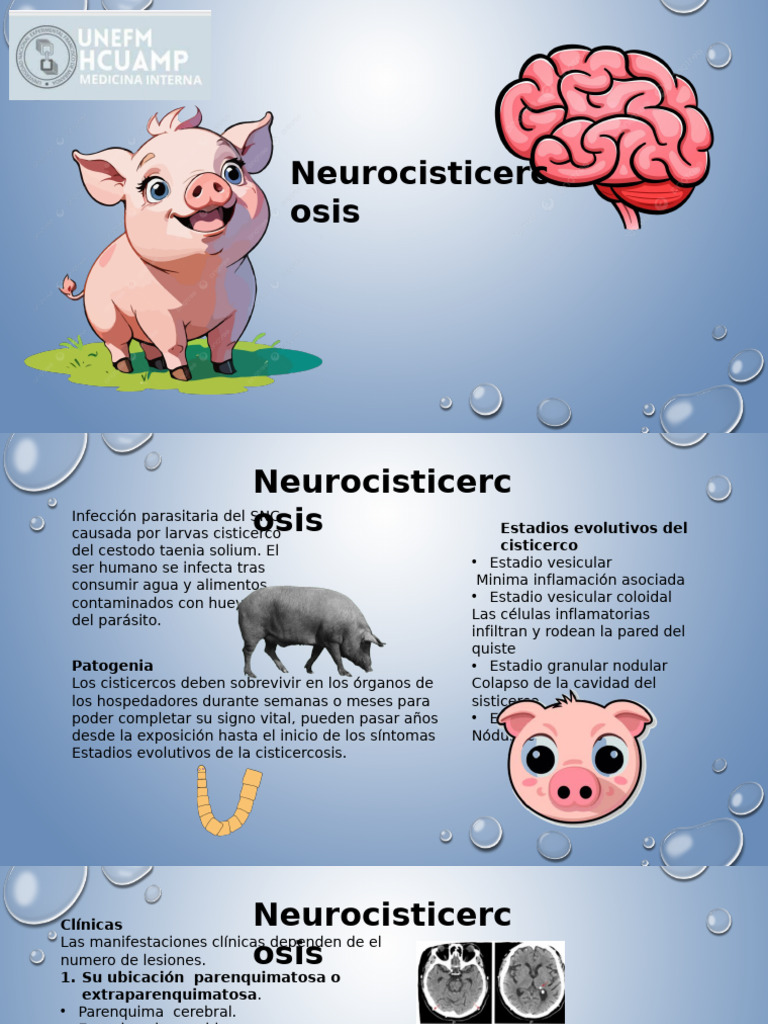 Neurocisticercosis 1 | PDF