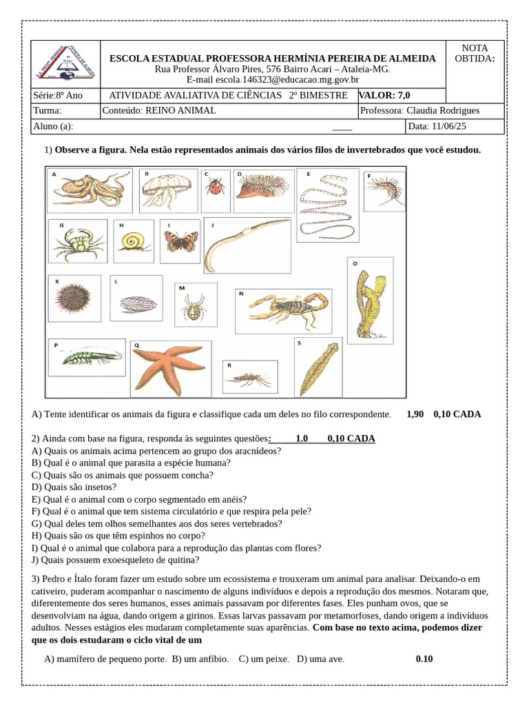 Atividade Avaliativa Reino Animal | PDF | Anfíbio | Peixes