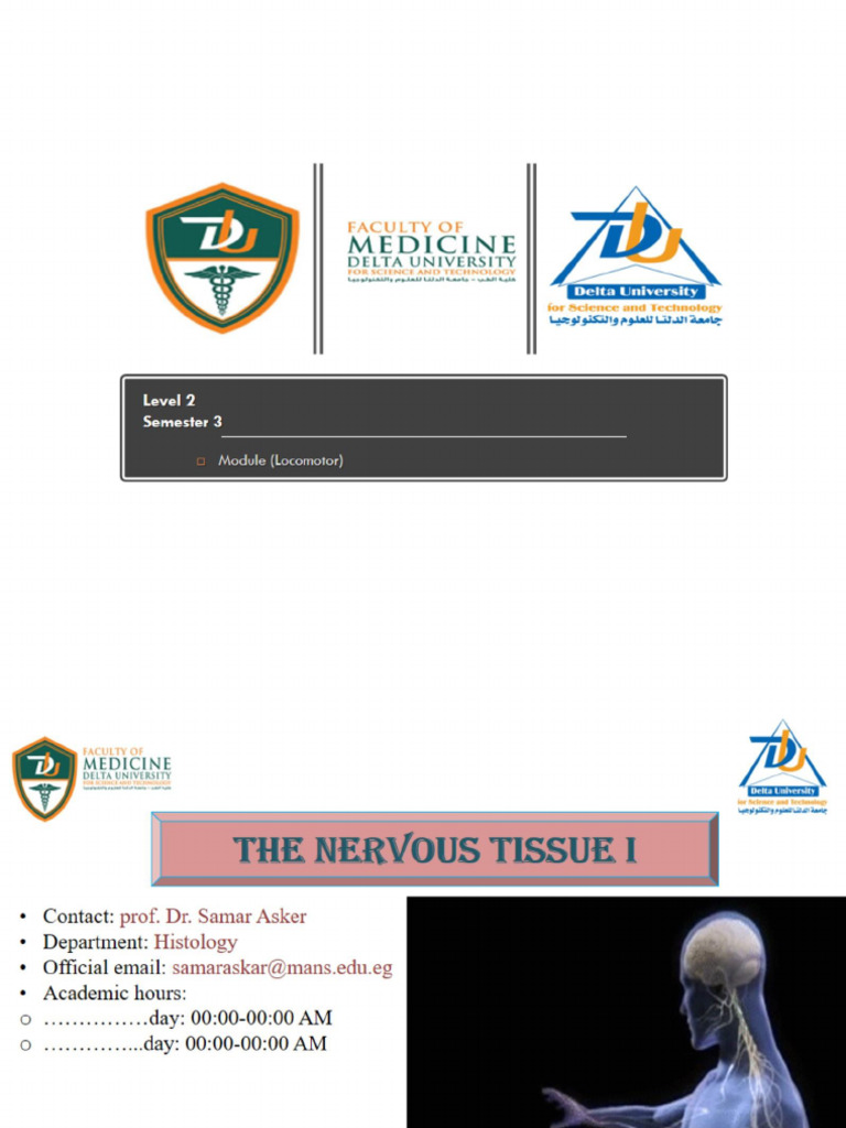 L 4 The Nervou Tissue I | PDF