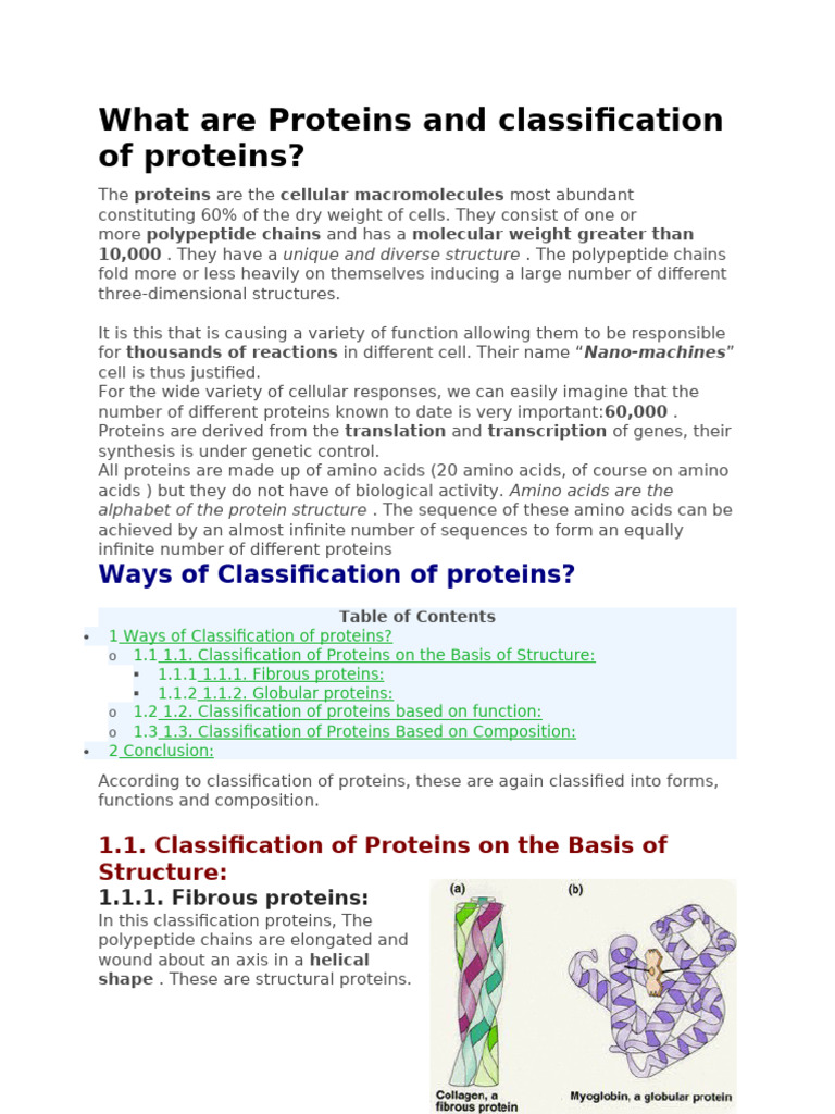 Classification of Proteins | PDF | Proteins | Cell Signaling