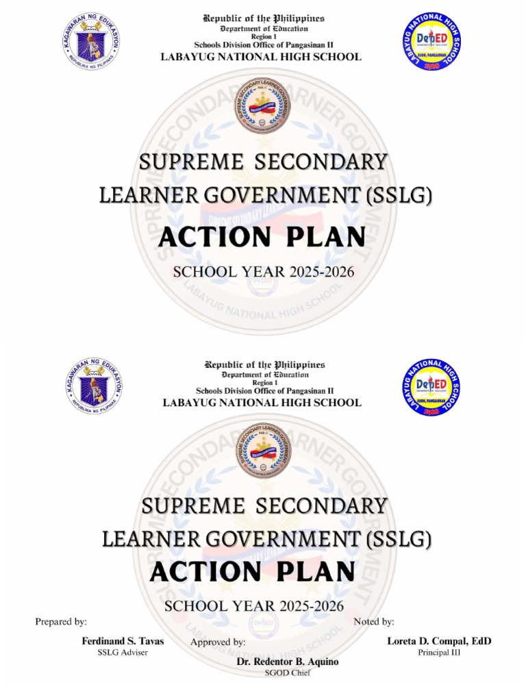 SSLG Action Plan Landscape | PDF