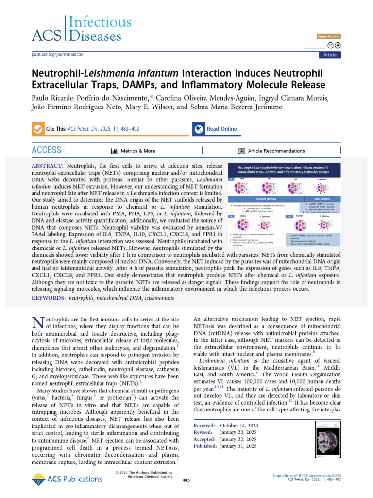 Neutrophil-Leishmania Infantum Interaction Induces Neutrophil ...
