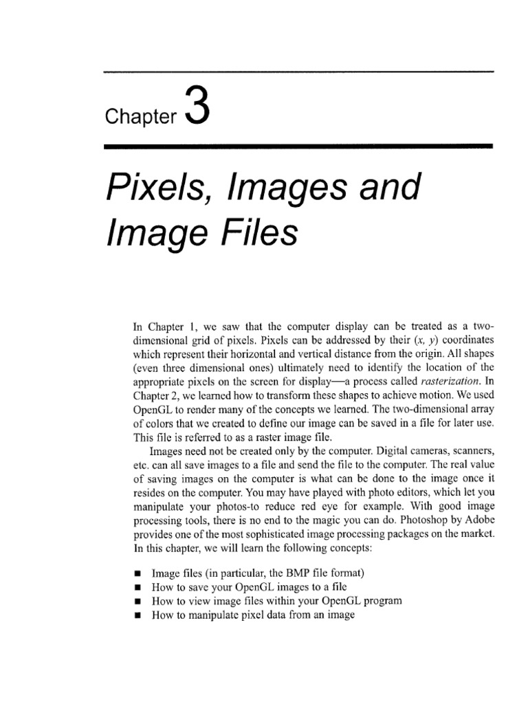 Understanding BMP Raster Image Files | PDF | Computer Graphics | Graphics
