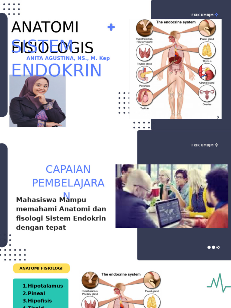 Anatomi Fisiologis SISTEM ENDOKRIN | PDF