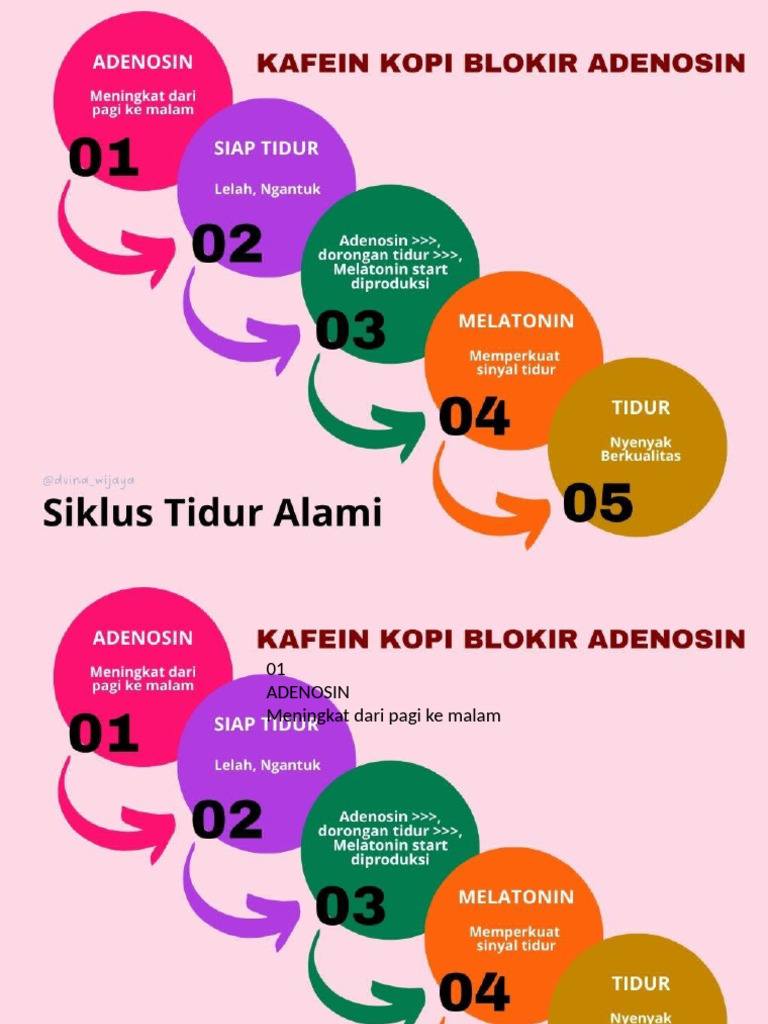 Siklus Tidur | PDF