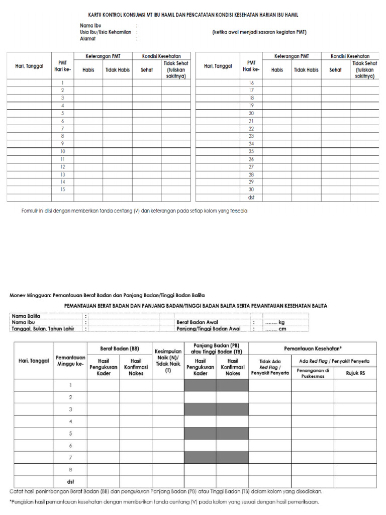 Form Monitoring PMT Lokal 2025 | PDF