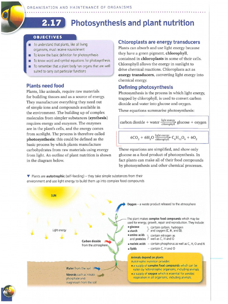 s2 Biology Notes | PDF