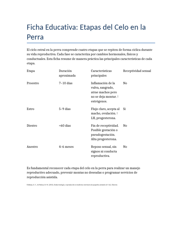 Etapas del Celo en la Perra: Guía Rápida | PDF | Ginecología ...