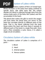 Permanent Slide Preparation Guide | PDF | Histology | Fixation (Histology)