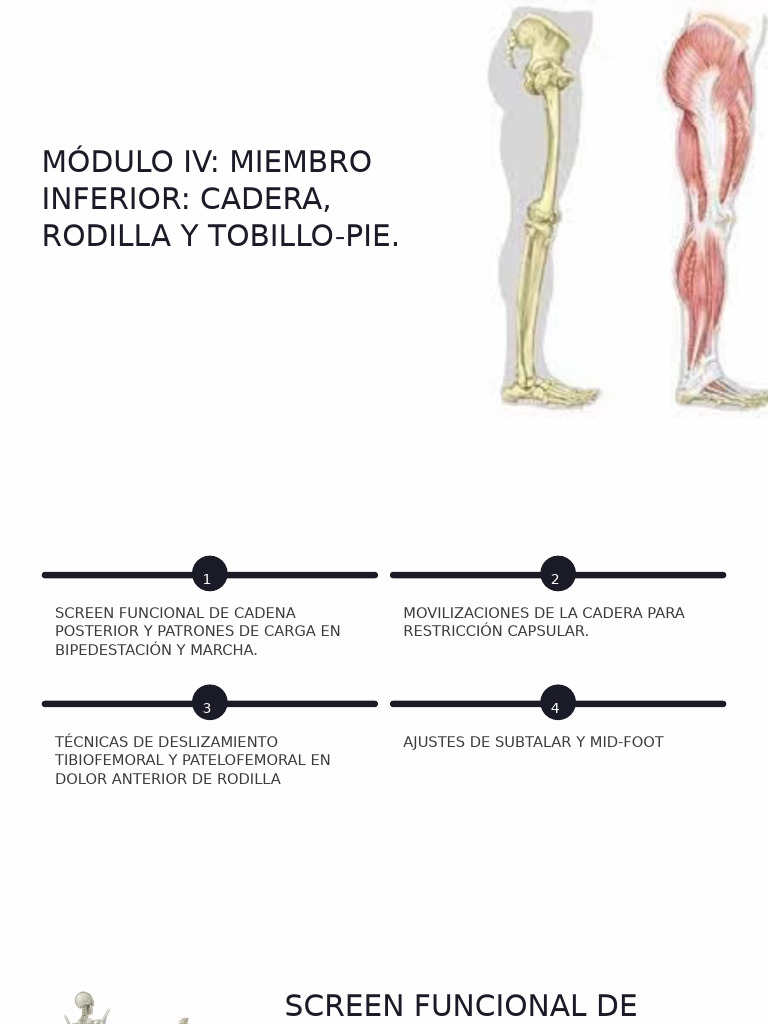 Modulo IV Miembro Inferior Cadera Rodilla y Tobillo y Pie | PDF | Pie ...