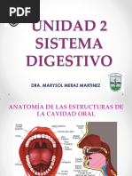 Atlas de Anatomía de la Cavidad Bucal | PDF | Boca | Anatomía