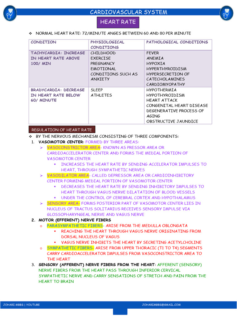 Cardiovascular System Heart Rate | PDF | Heart Rate | Heart