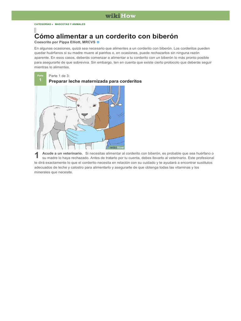 Alimentar a un corderito con biberón | PDF | Leche | Neumonía