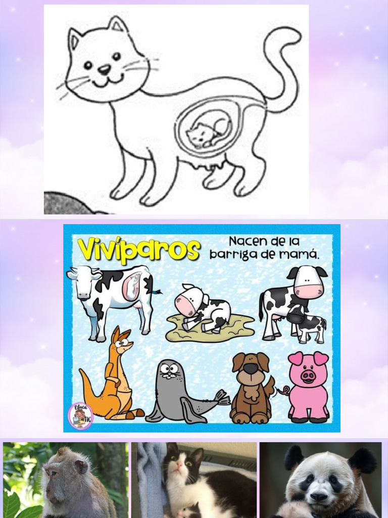 Animales Viviparo y Oviparos | PDF