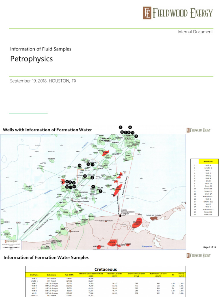Formation Water Sample Analysis Report | PDF