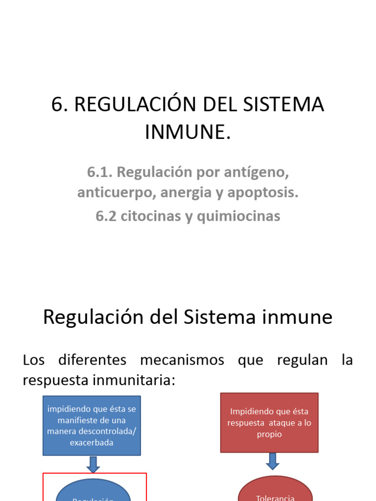 6. Regulación del sistema inmune | PDF | Sistema inmune | Antígeno