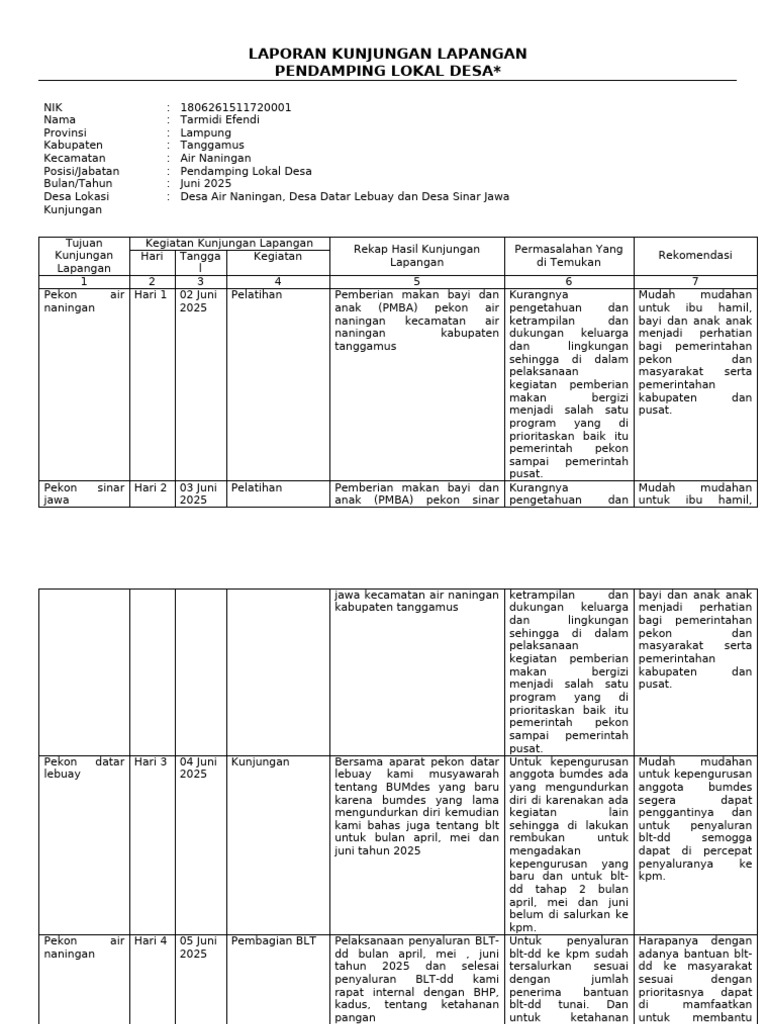 III. Laporan KL Juni 2025 Tarmidi | PDF