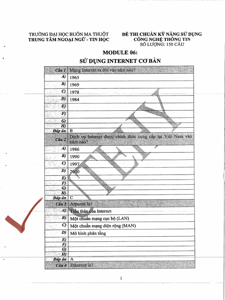 Module6 Internet | PDF