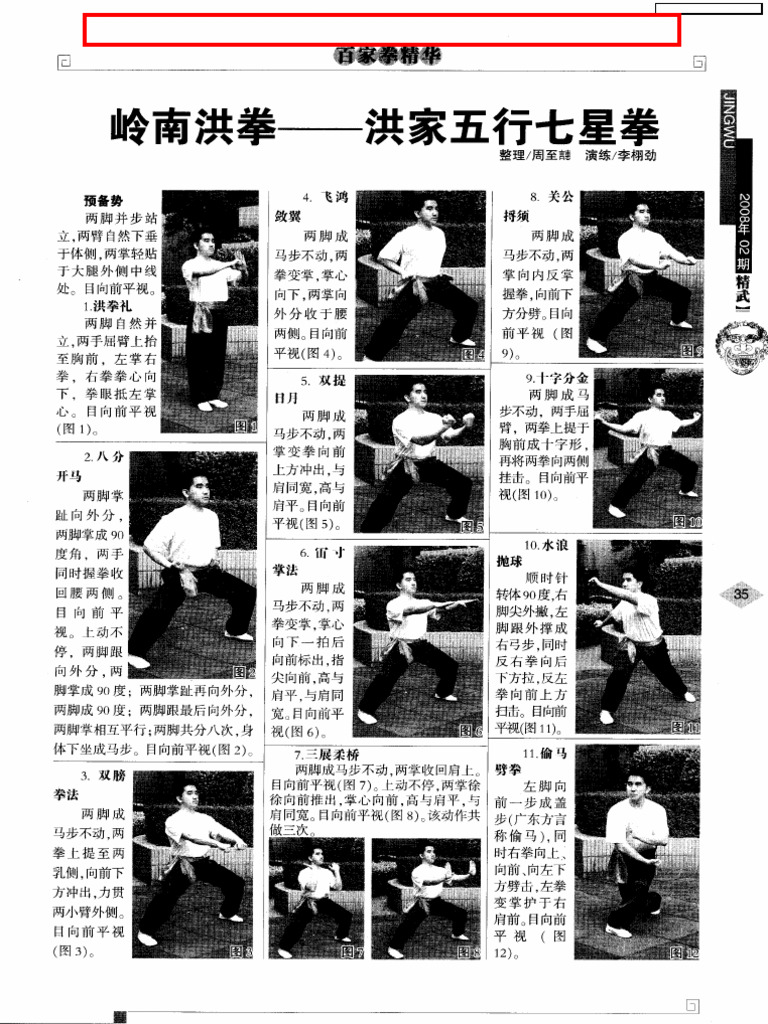 Linh Nam Hong Quyen - Hong Gia Ngu Hanh That Tinh Quyen | PDF