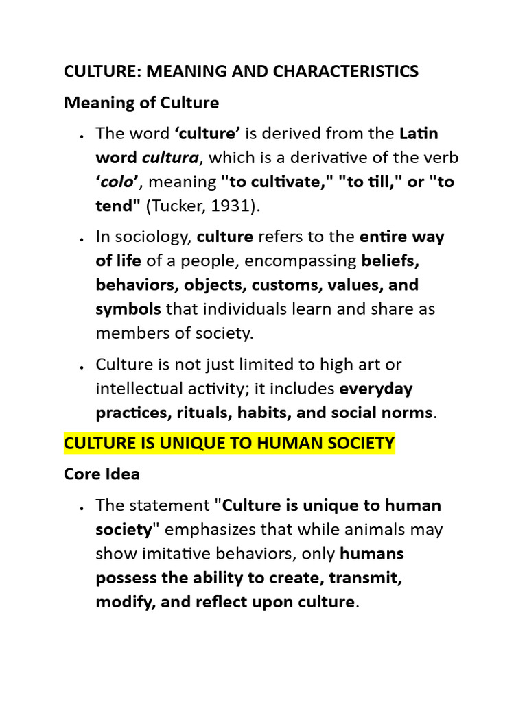 Understanding Human Culture: Key Concepts | PDF | Popular Culture ...