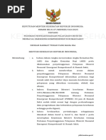KMK No 1051 - Pedoman Pelayanan Obstetri Neonatal Emergensi ...