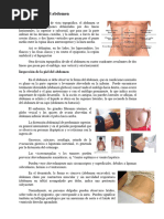 Signos de Percusión Abdominal | PDF | Abdomen | Hígado