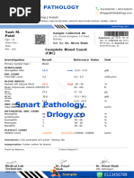 CBC Test Report Format Example Sample Template Drlogy Lab Report | PDF ...