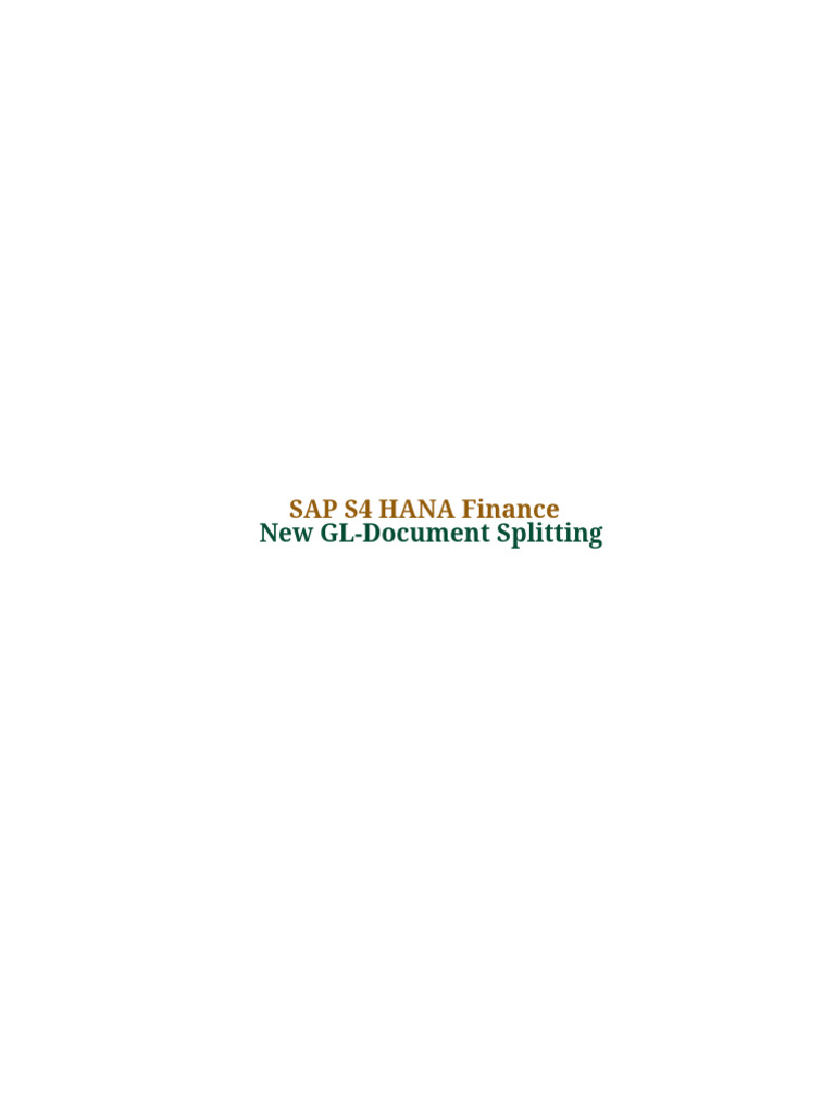 NEW GL - Document Splitting | PDF | Debits And Credits
