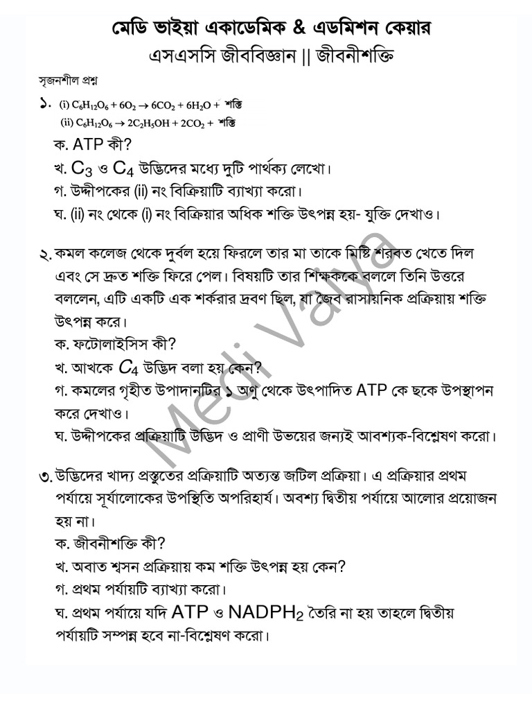 SSC Bio Chap-4 CQ Qs | PDF