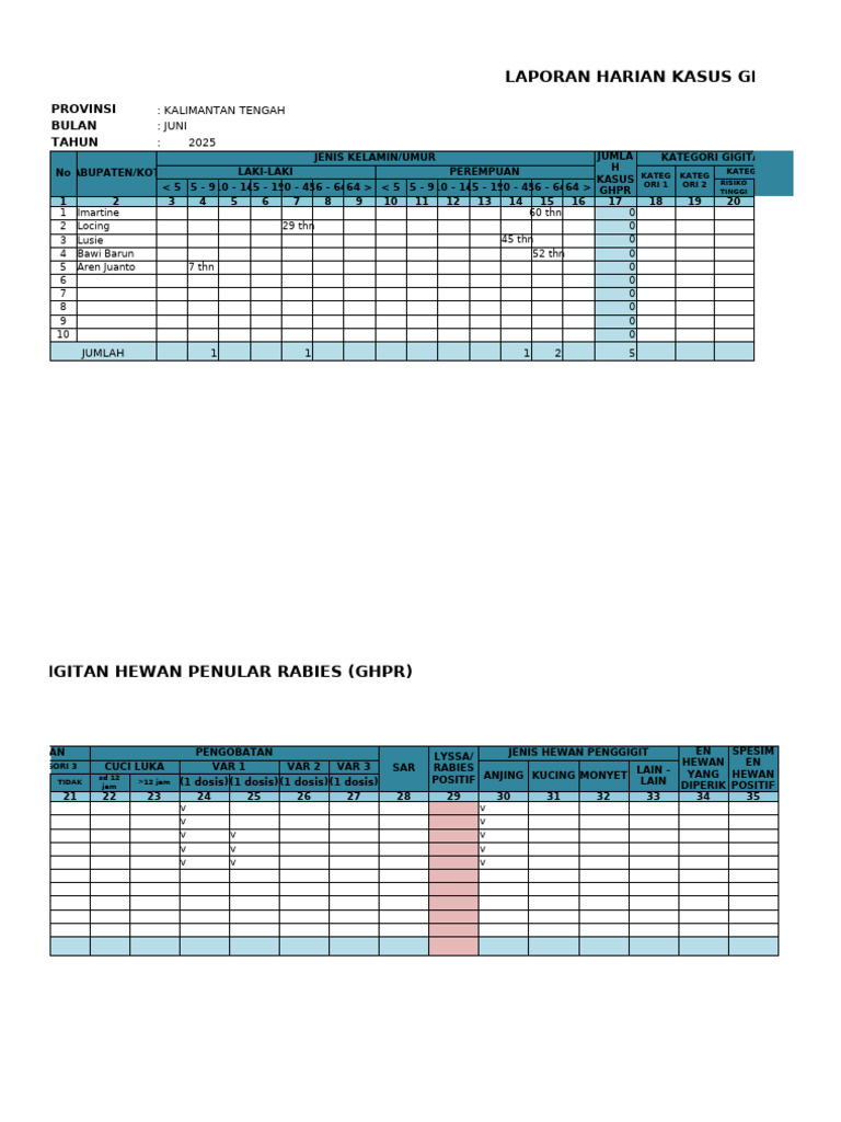 Laporan GHPR Dan Rabies Juni 2025 | PDF