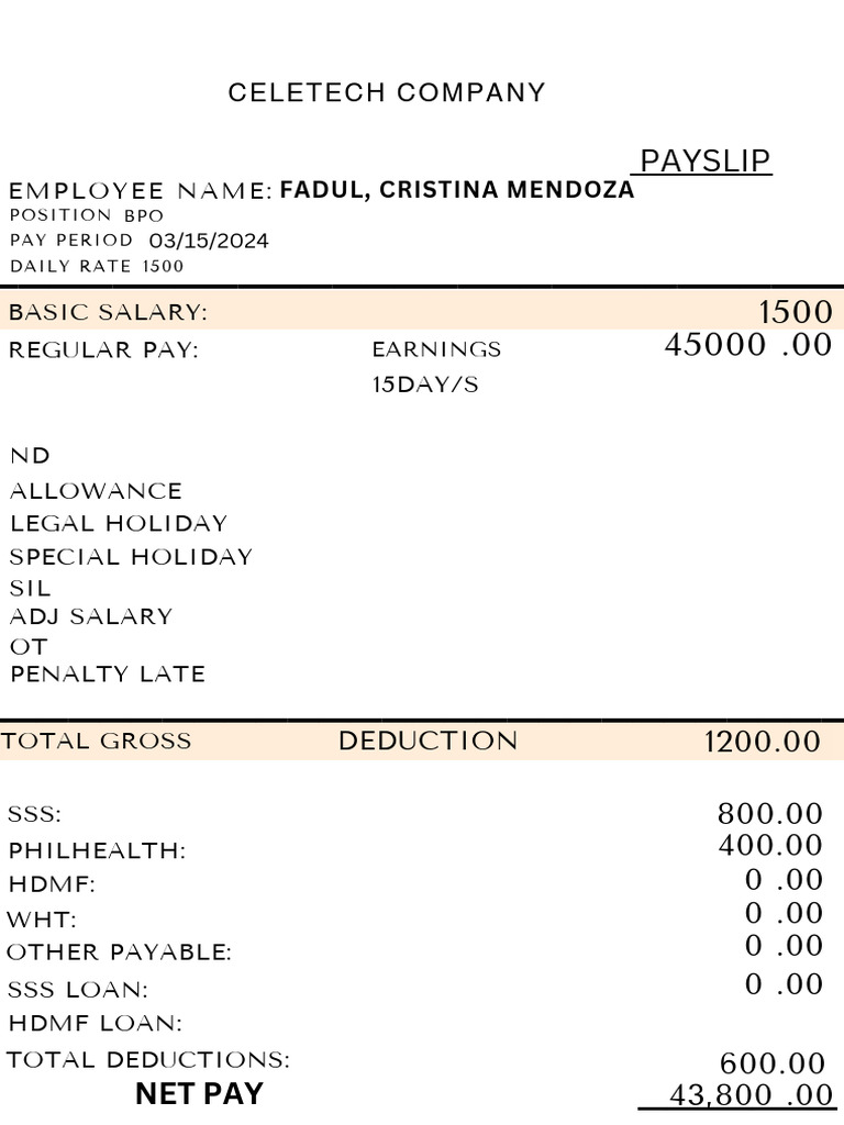 PAYSLIP | PDF