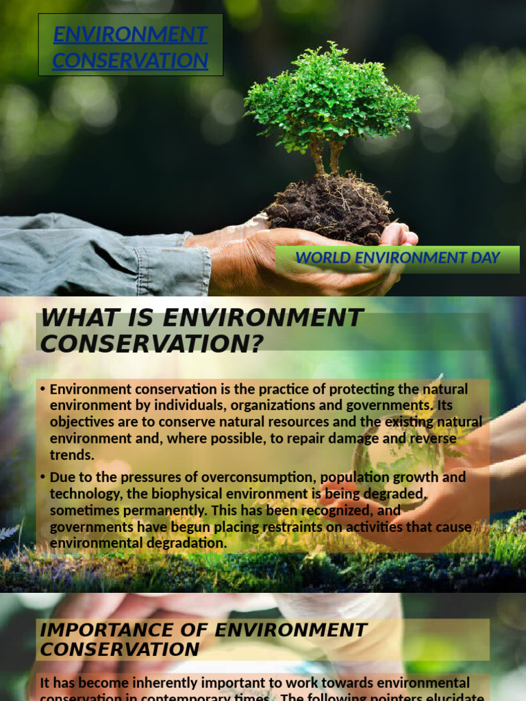 Importance of Environment Conservation | PDF | Conservation Biology ...