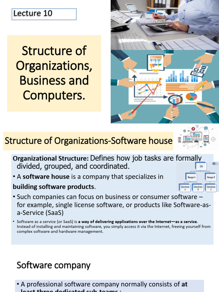Organizational Structure in Software Firms | PDF | Human Resource ...