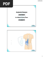 Anatomía de la Región Inguinal | PDF | Anatomía | Morfología (biología)
