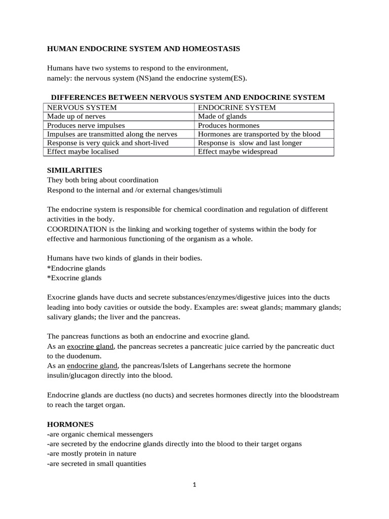 Endocrine&homeostasis Notes | PDF | Pancreas | Endocrine System