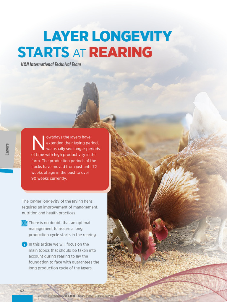 Layer Management for Longevity | PDF | Chicken | Bone