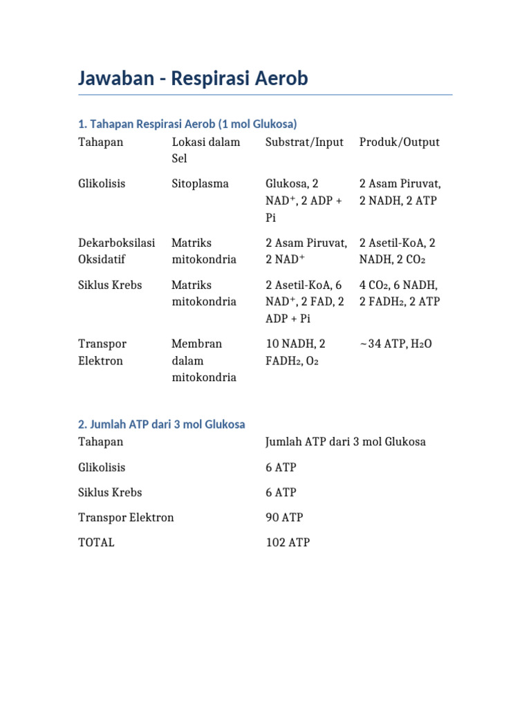 Jawaban Respirasi Aerob | PDF