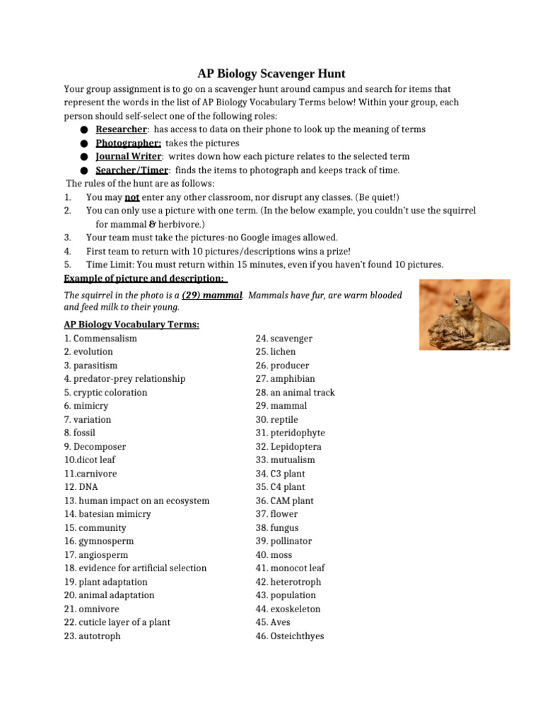 AP Biology Vocabulary Scavenger Hunt | PDF | Plants | Mammals