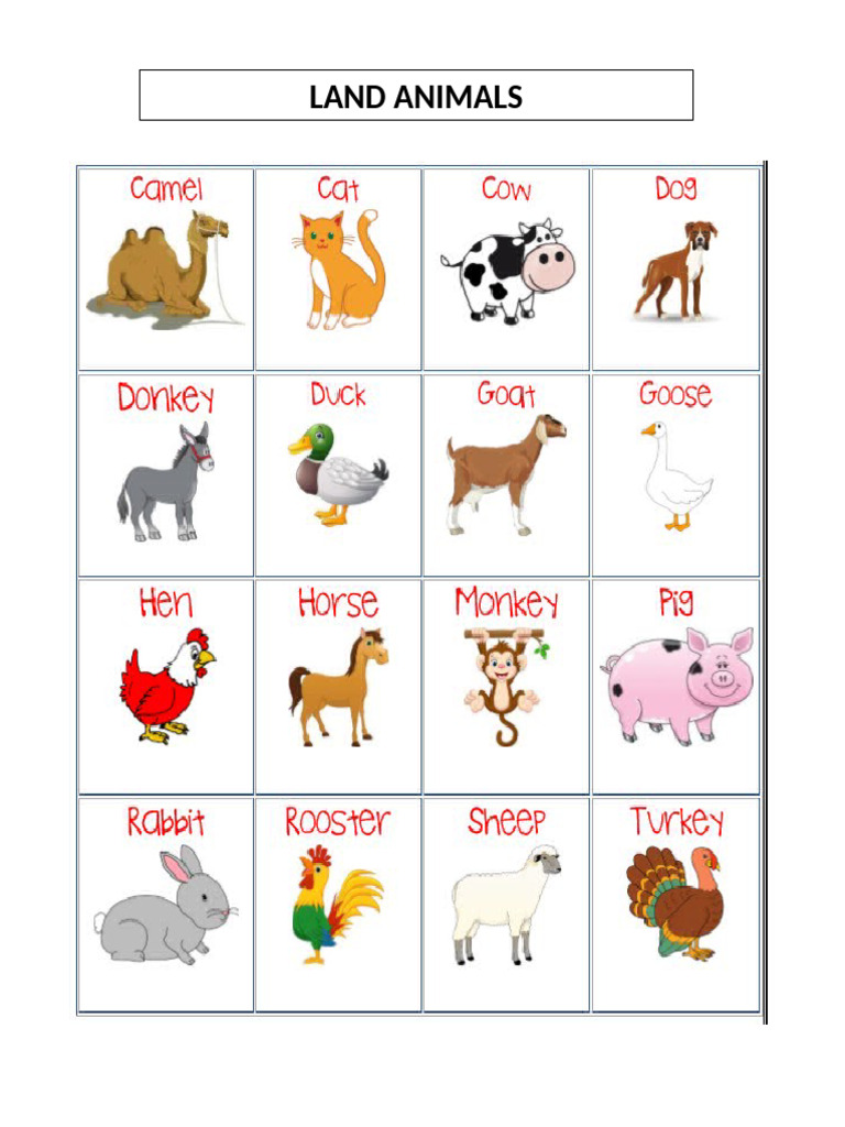 Animals | PDF