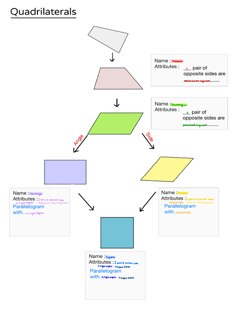 Quad Work Sheet | PDF
