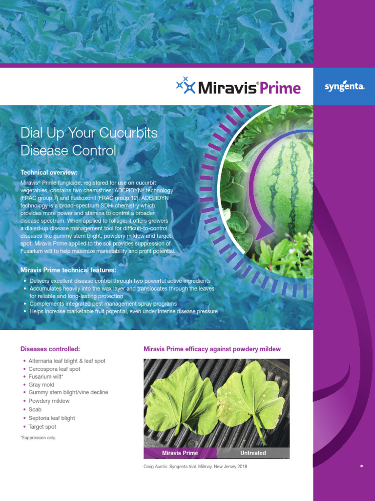 Miravis Prime Cucurbits Sheet Updated | PDF | Fungicide | Plants