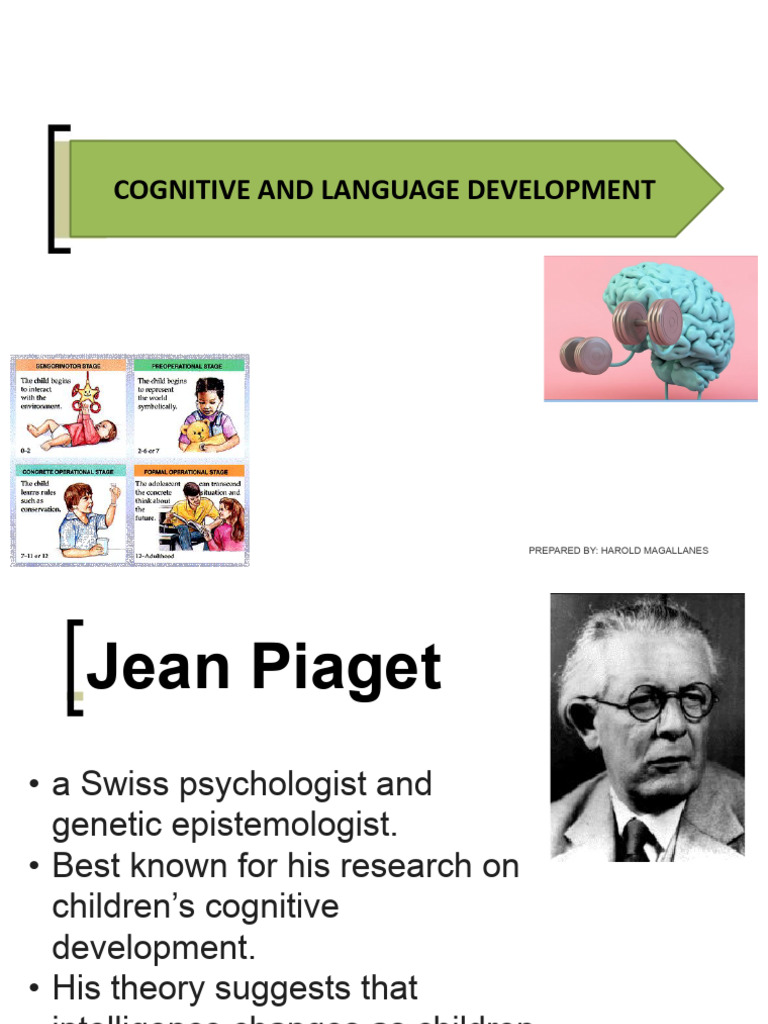 Lesson 3.1 Cognitive and Language Development (Piaget) | PDF | Schema ...
