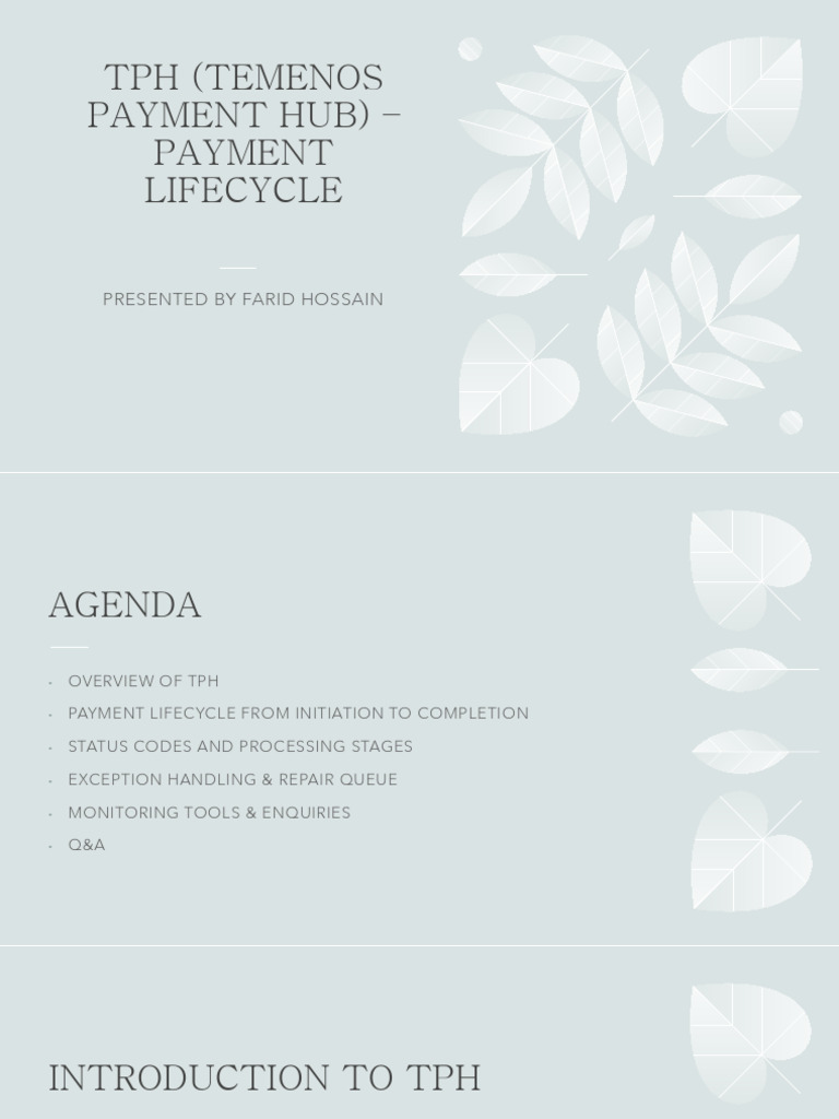 TPH Payment Lifecycle Overview | PDF