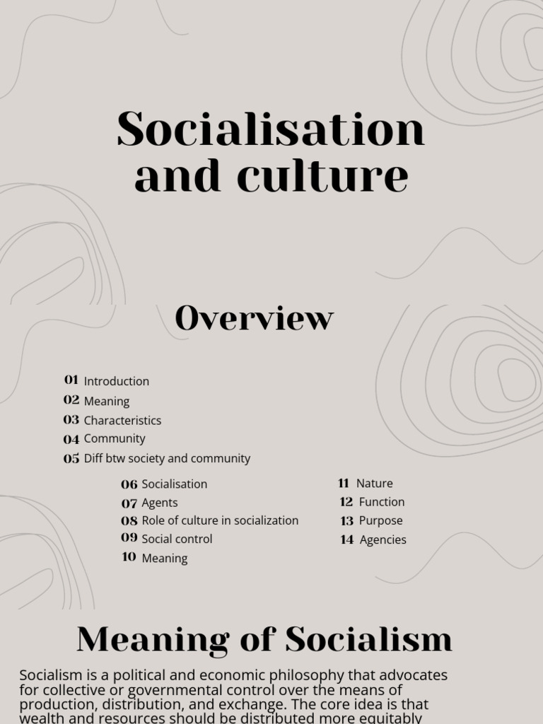 Socialisation and Culture 20240819 104539 0000 | PDF | Socialization ...