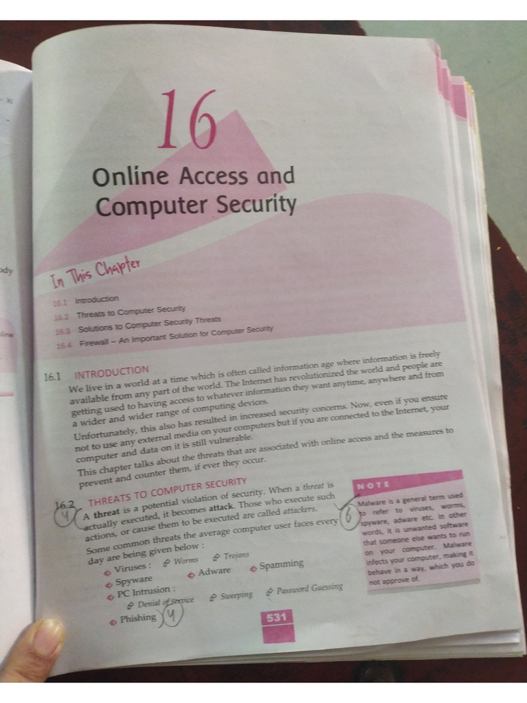 CL 11 CH 16 Online Access and Computer Security | PDF