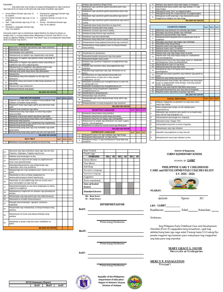 ECCD Checklist | PDF