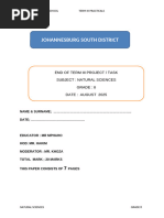 Technology - Grade 8 PAT Term 3 (2023) | PDF | Mining