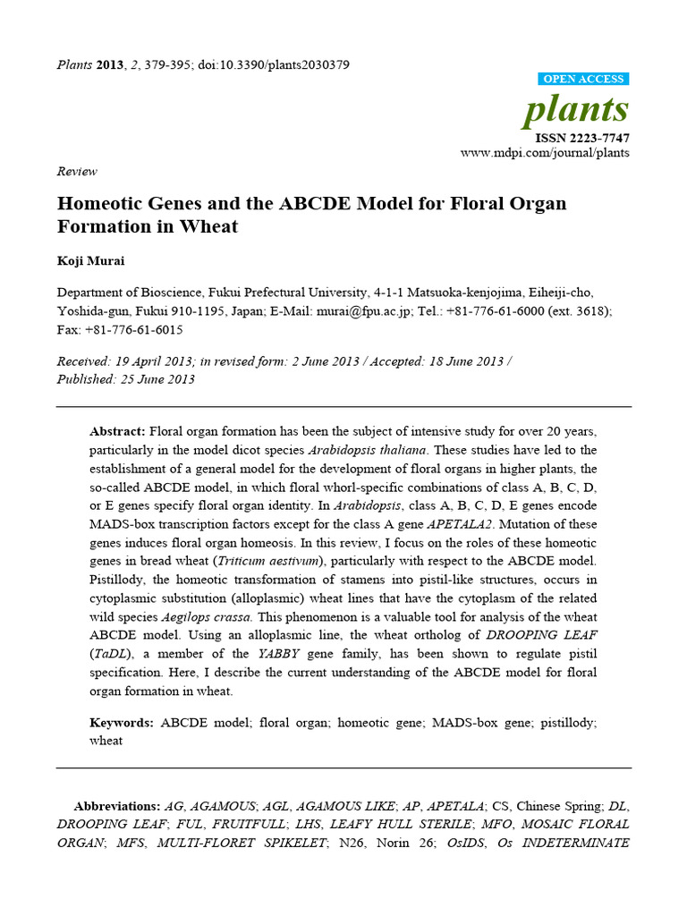 ABCDE Model in Wheat Floral Development | PDF | Flowers | Genetics