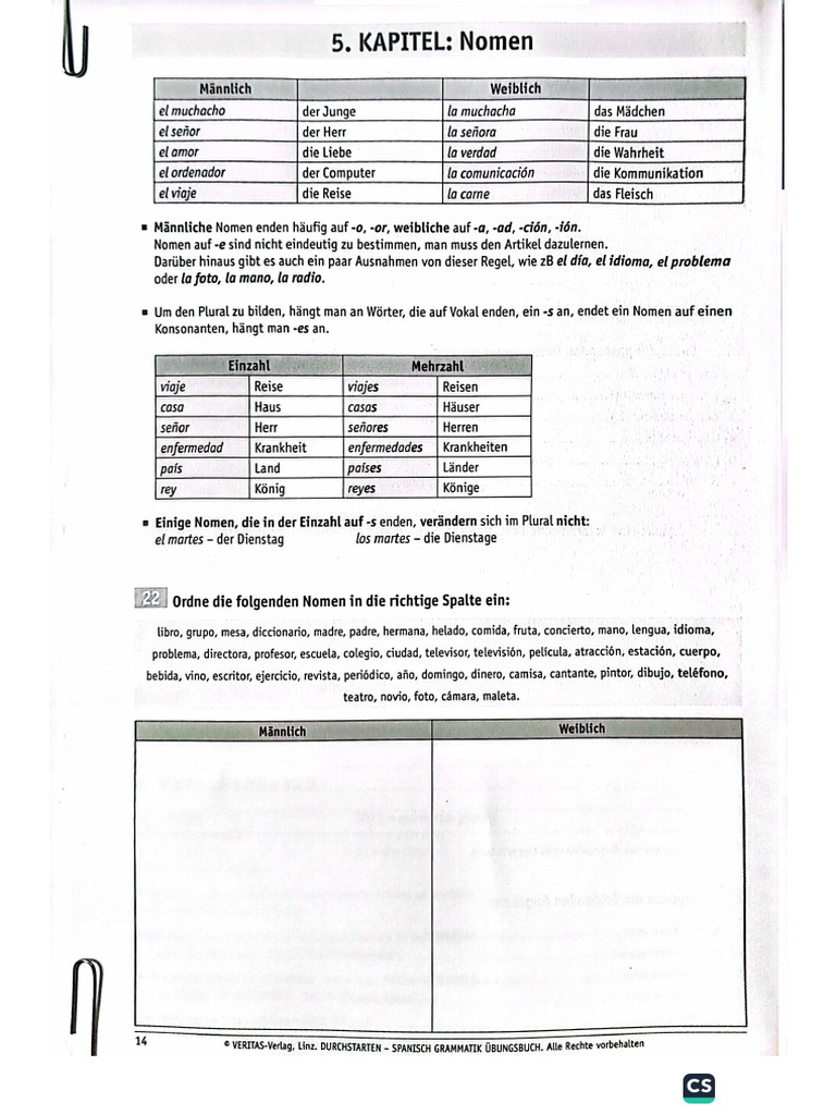 Kapitel 5 Nomen | PDF